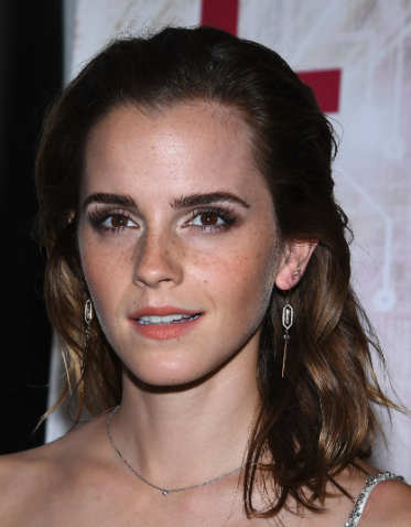 OnlyFaceFinder — Discover Your Celebrity Lookalike Using AI Face ...